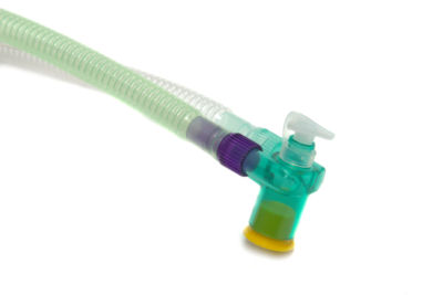Breathing systems for use with SLE® - 2000 ventilator